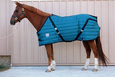 Miller's Haversham USET Horse Winger Stable Blanket size 80