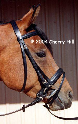 Horse Tack: Eiser's Kieffer Snaffle Bridle with Matching Reins.