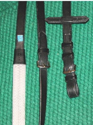 Horse Tack: Eiser's Kieffer Snaffle Bridle with Matching Reins.